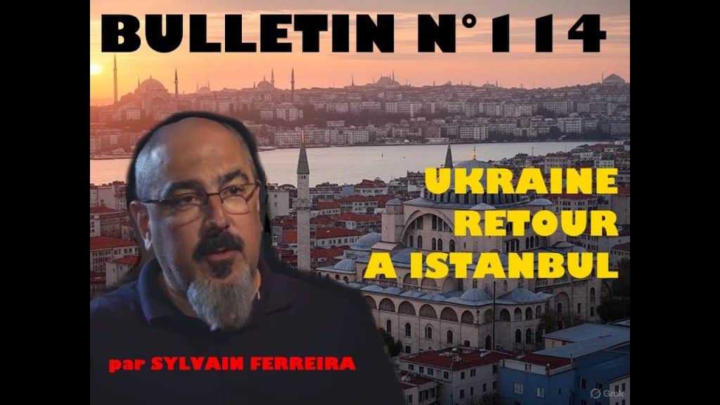 Veille stratégique : bulletin n° 114 de Sylvain Ferreira